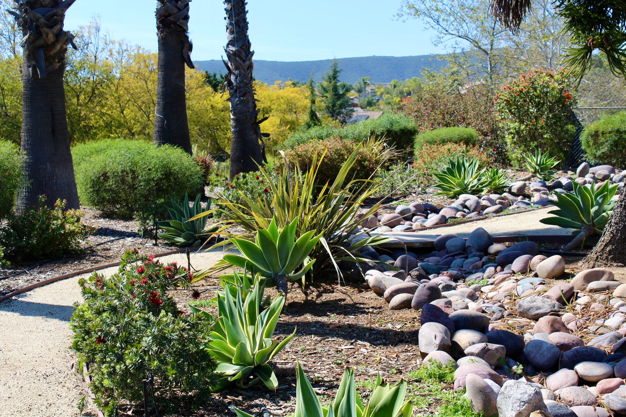 Stonebrook Landscapes - From Concept to Creation