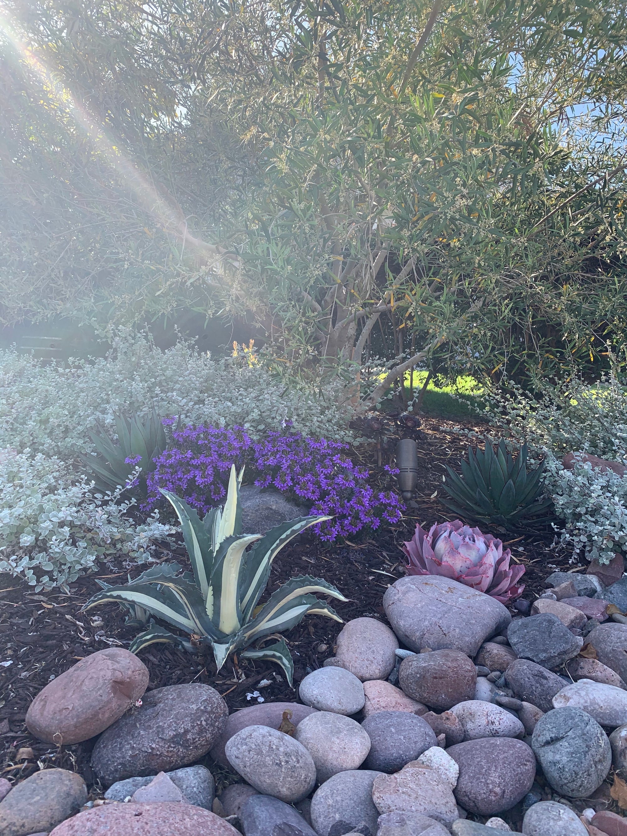 Stonebrook Landscapes - From Concept to Creation